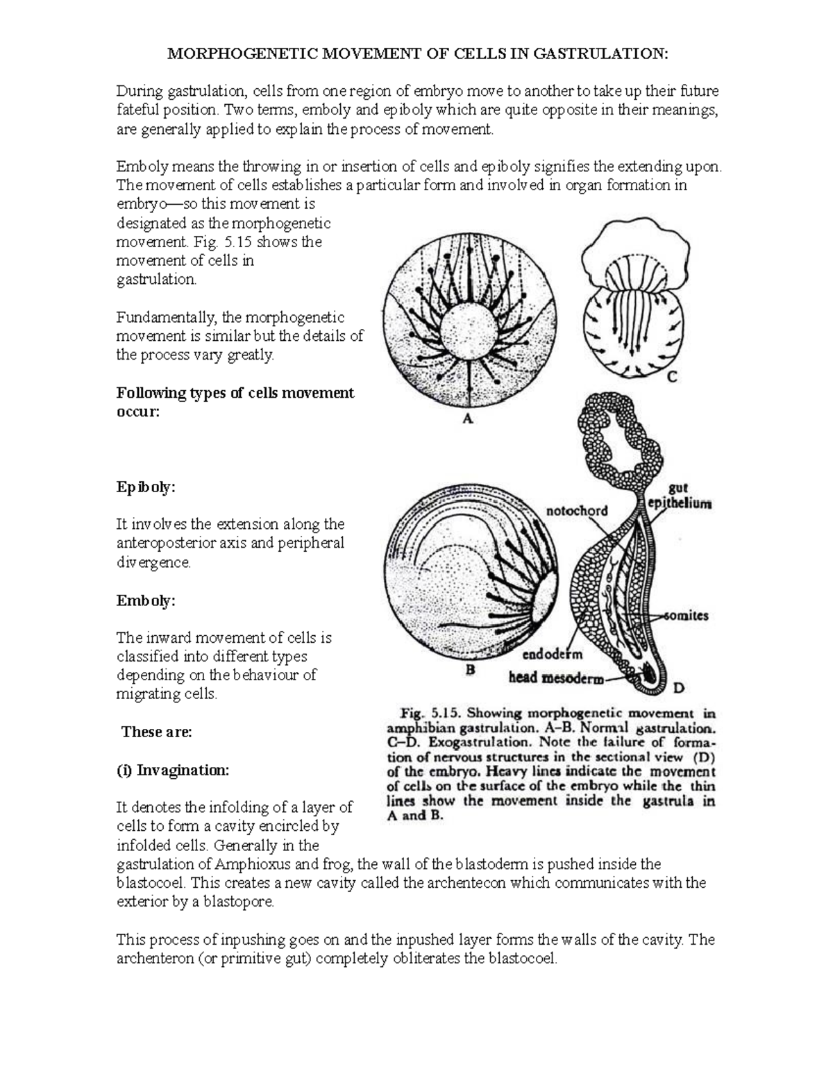 Morphogenetic Movement of Cells in Gastrulation of frog - MORPHOGENETIC ...