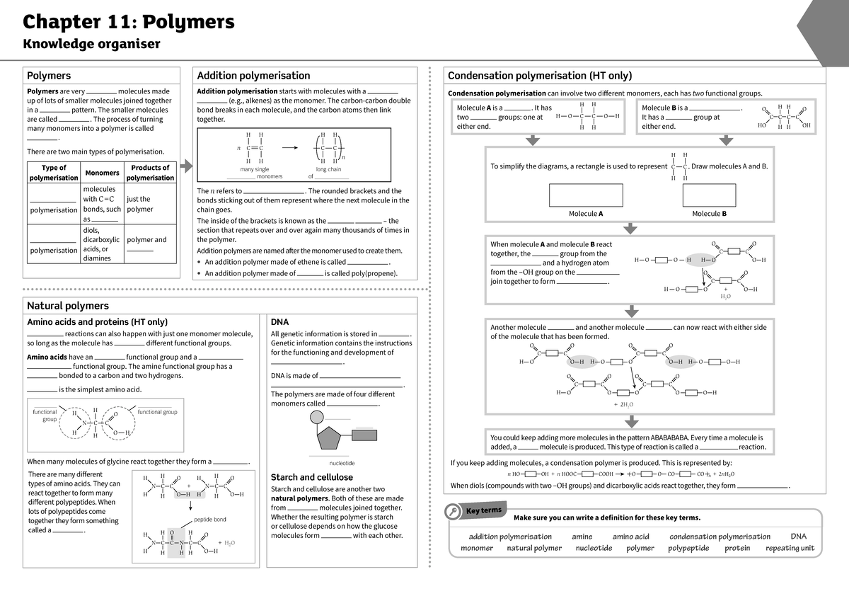 C11 Chapter 11: Polymers - Key Concepts and Definitions Guide - Studocu