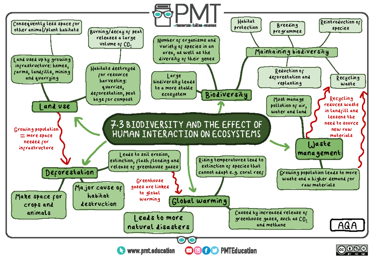 Mind Map 7 - mind map - 7 BIODIVERSITY AND THE EFFECT OF HUMAN ...