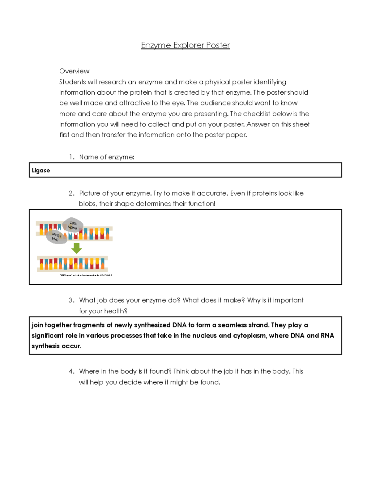 Enzyme Explorer Poster - Enzyme Explorer Poster Overview Students will ...