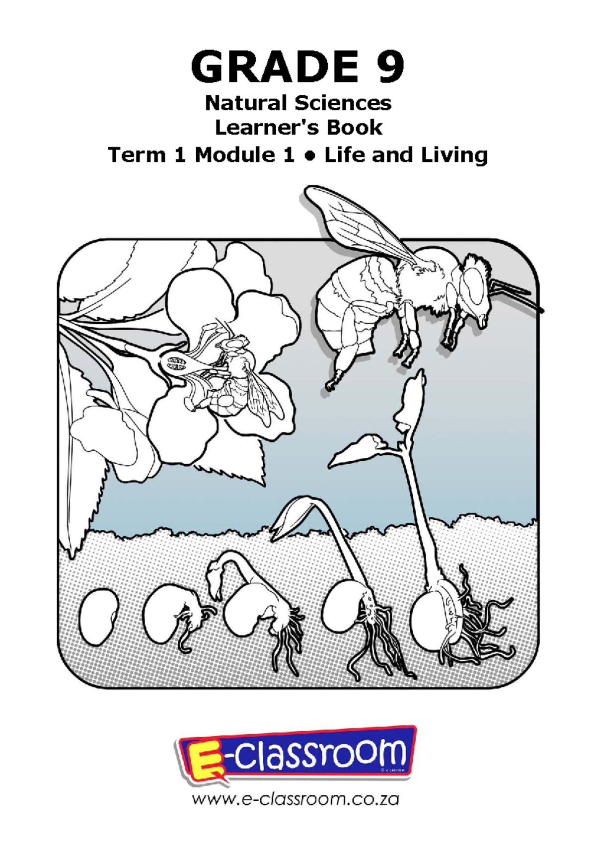 GRADE 9 NATURAL SCIENCES TERM 1 MODULE 1: LIFE AND LIVING WORKBOOK ...