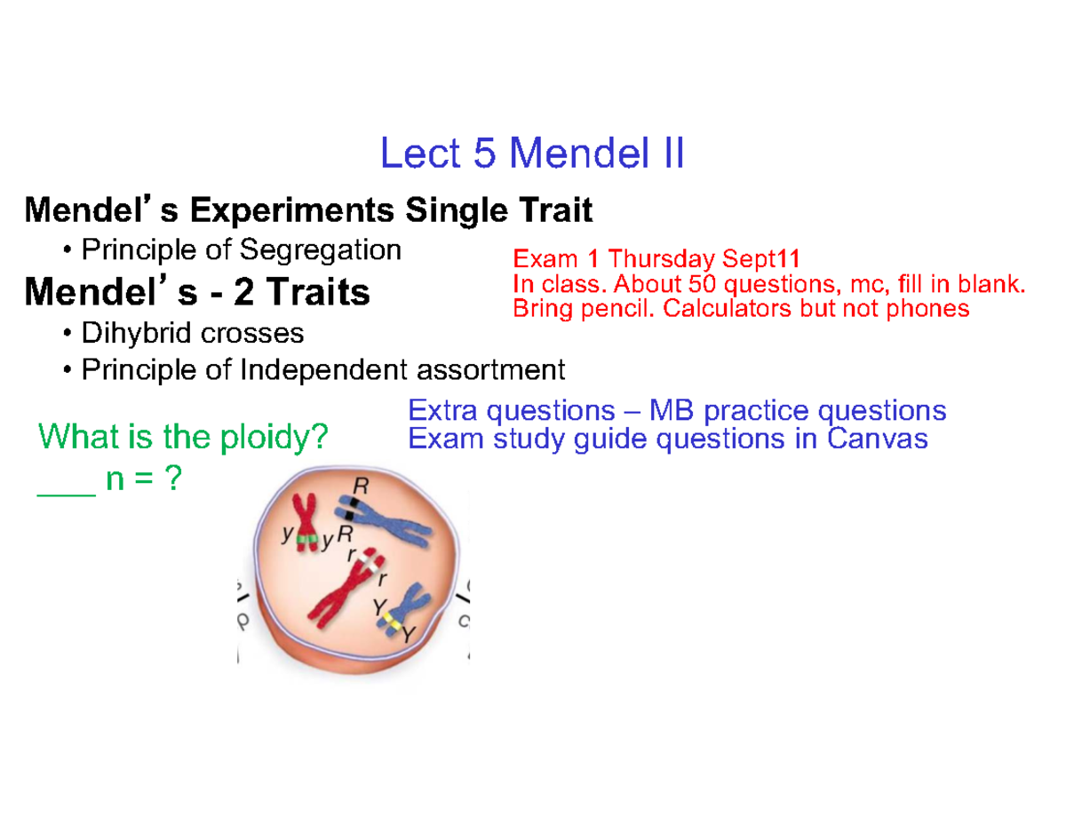 BIO 1331: Organismal Biology Lecture 5 - Mendelian Genetics Exam Guide ...