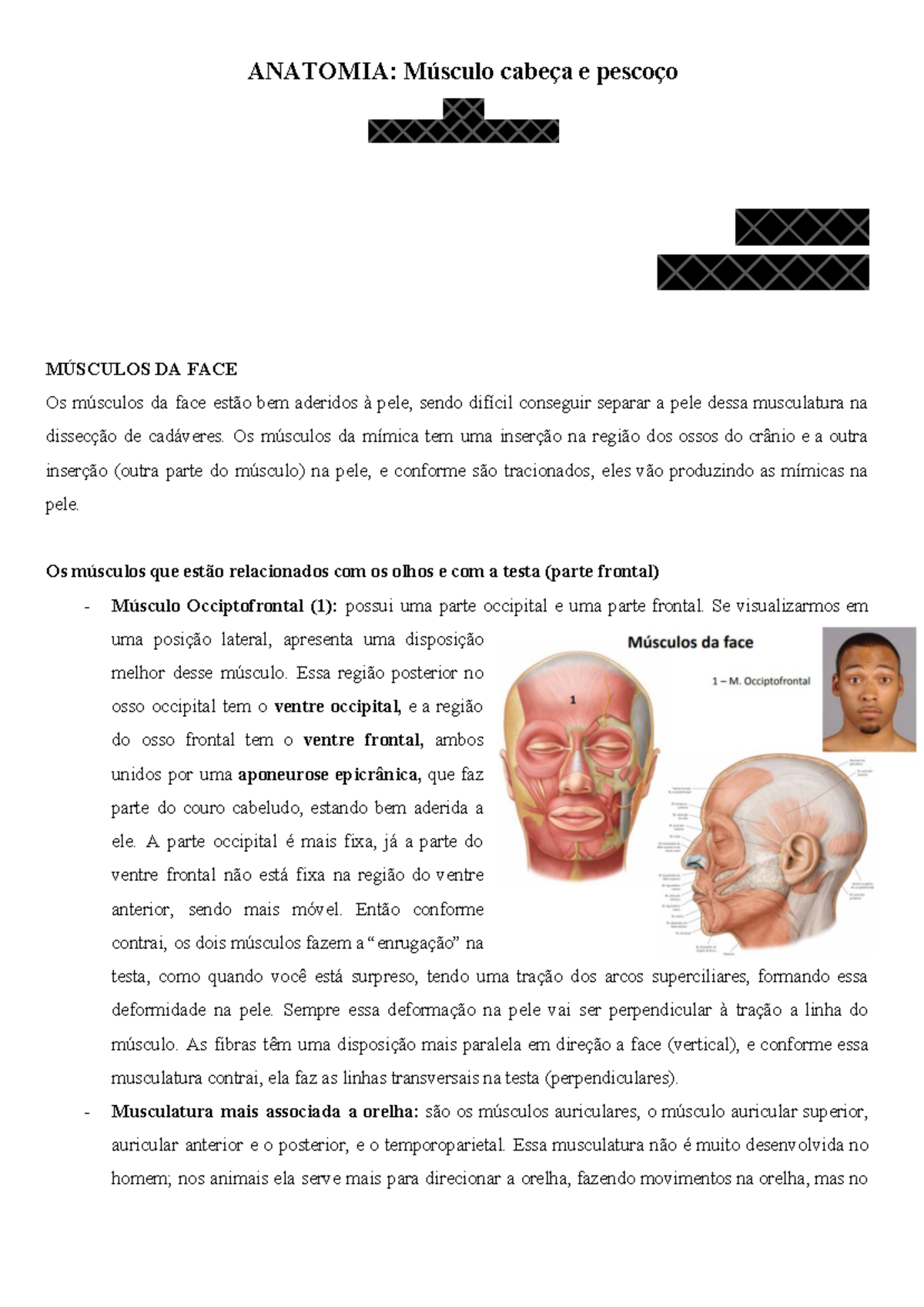 Músculos da Cabeça e Pescoço: Anatomia e Funções - ANAT 101 - Studocu