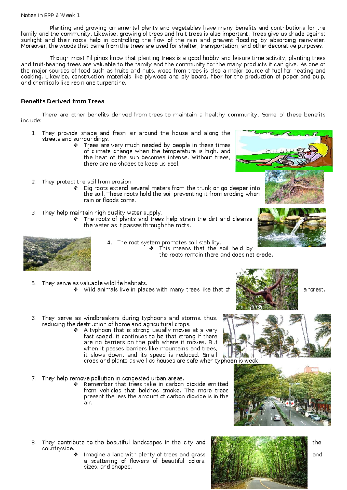 EPP 6 Week 1: Benefits of Planting Trees and Ornamental Plants - Studocu
