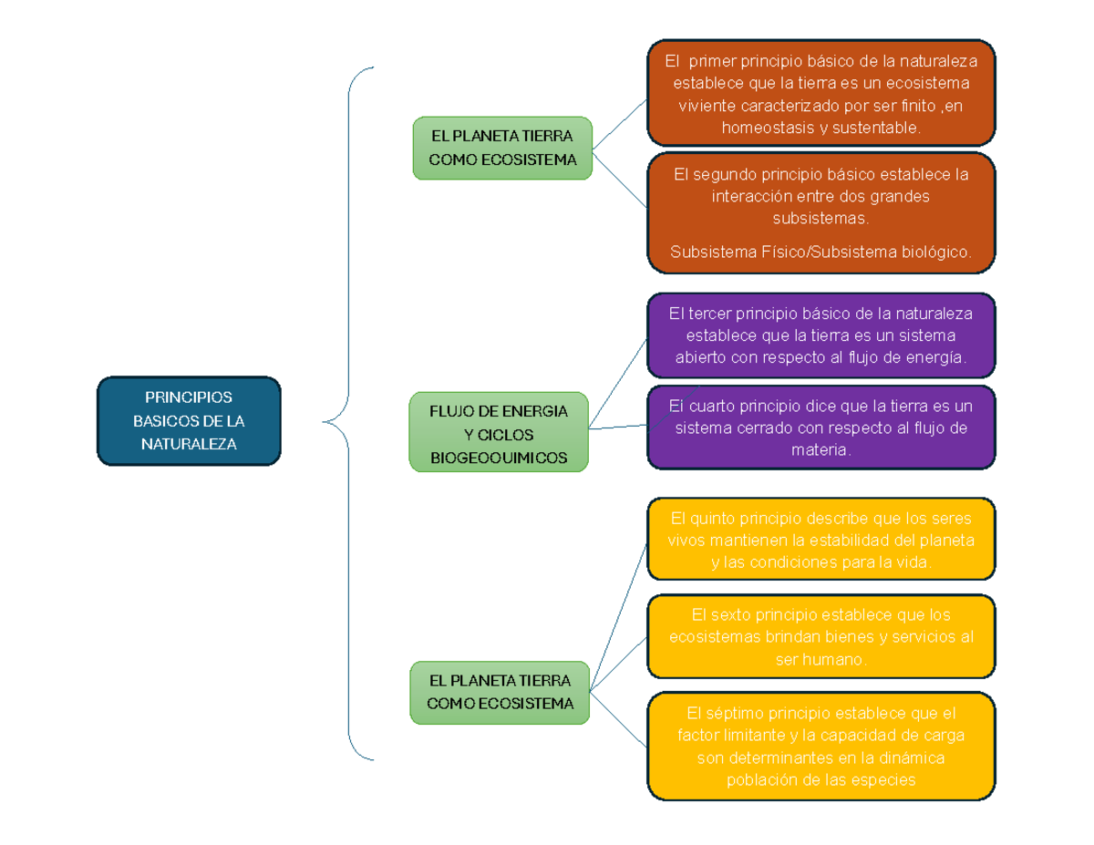 Cuadro Sinóptico: Principios Básicos de la Tierra como Ecosistema - Studocu