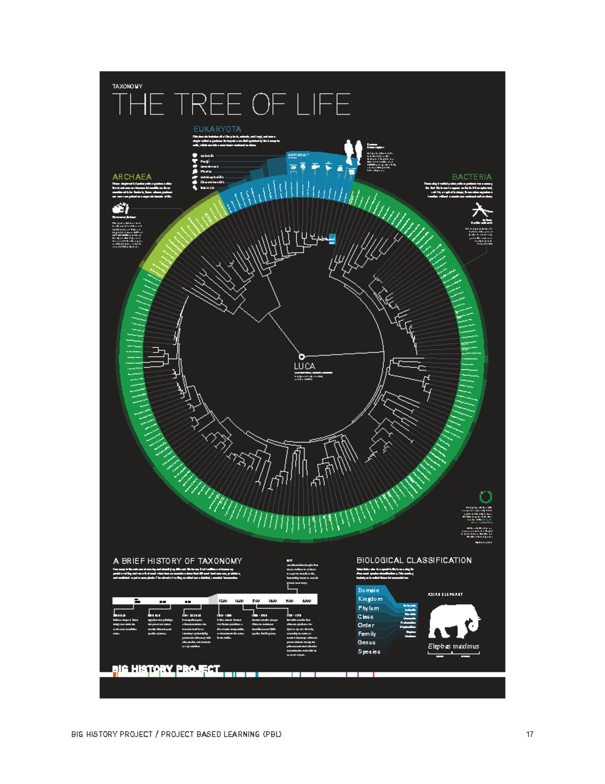 TAXONOMY: THE TREE OF LIFE IN EUKARYOTA AND BEYOND - Studeersnel
