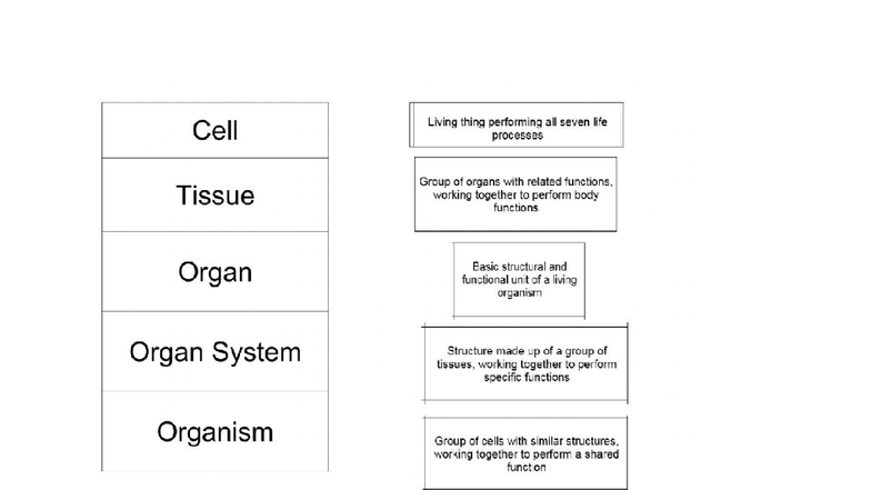 Biology 101: Levels of Organization in Living Things - Studocu