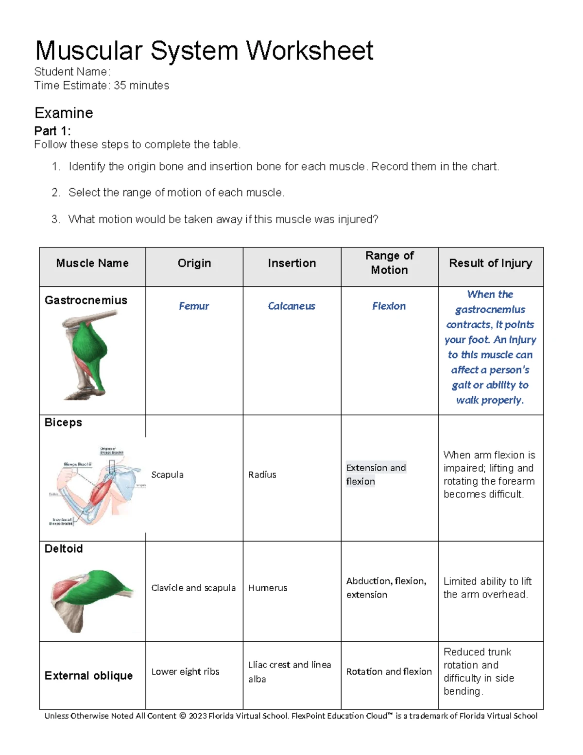 Physiology Basics Worksheet: Tissue Types & Functions Analysis - Studocu