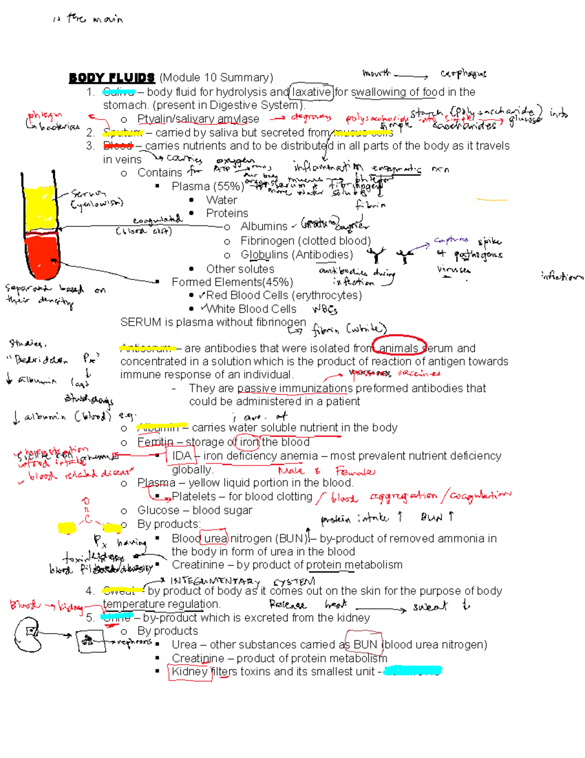 BODY FLUIDS (Module 10 Summary) - Key Concepts and Functions - Studocu