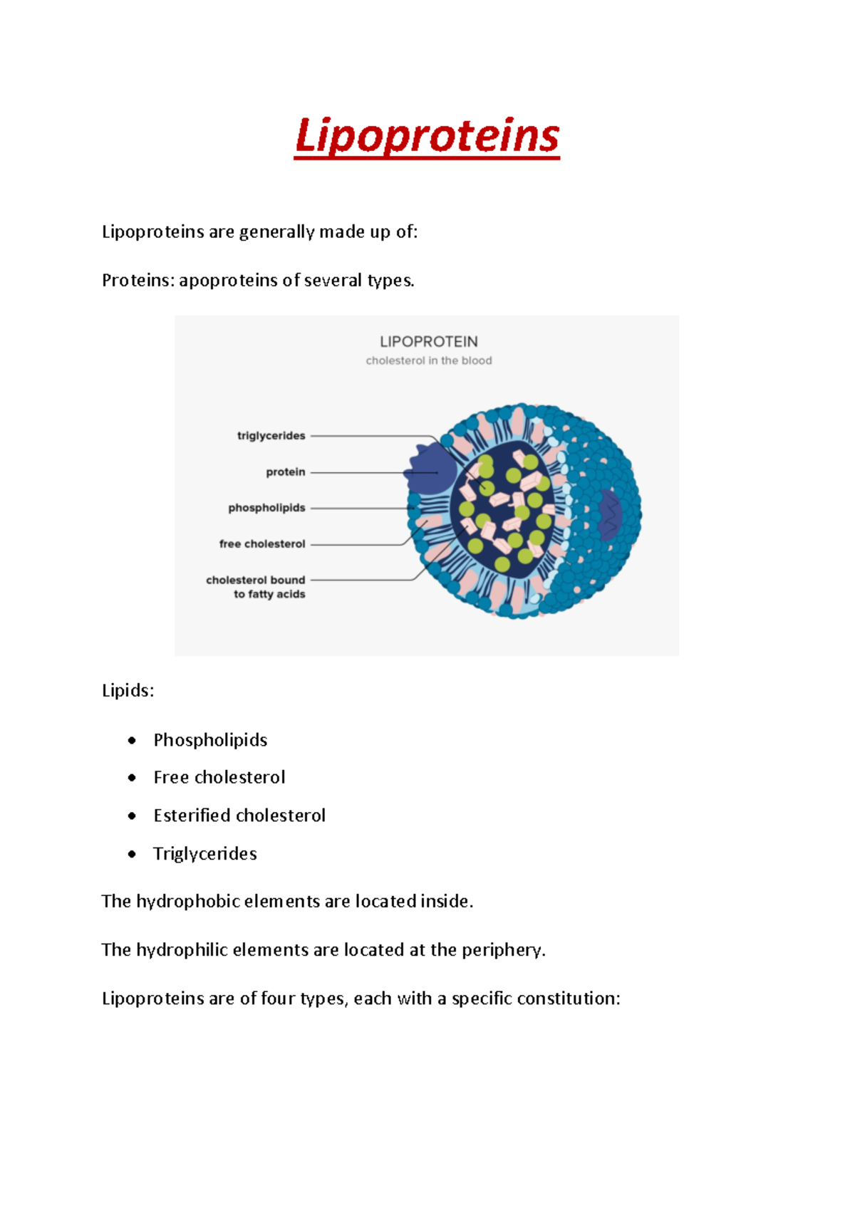 Lipoproteins: Structure, Types, and Functions in Metabolism - Studocu
