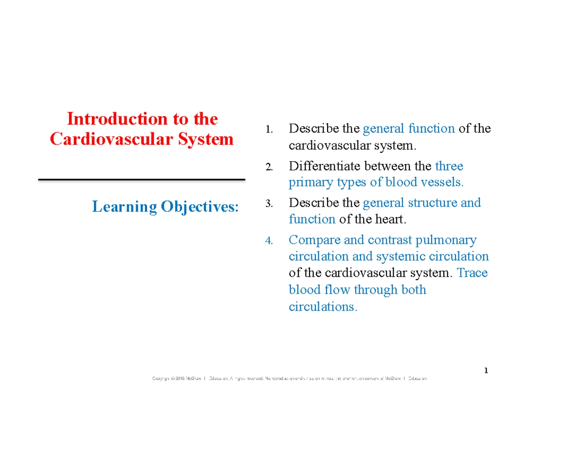 Comprehensive Overview of the Cardiovascular System: Anatomy & Function - Studocu