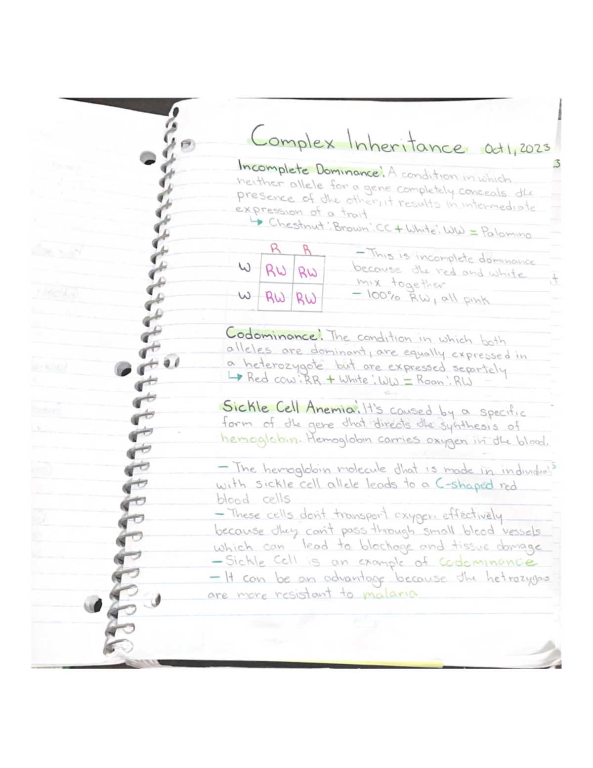 Complex Inheritance: Incomplete Dominance & Codominance Explained - Studocu