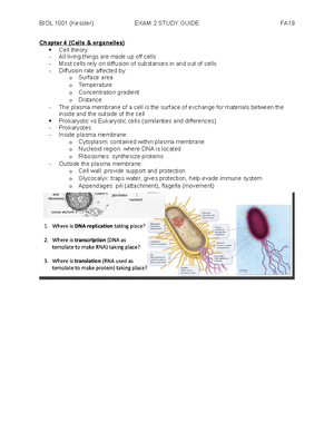 Chapter 2 - Kinematics in One Dimension - solutions - Physics 4A ...