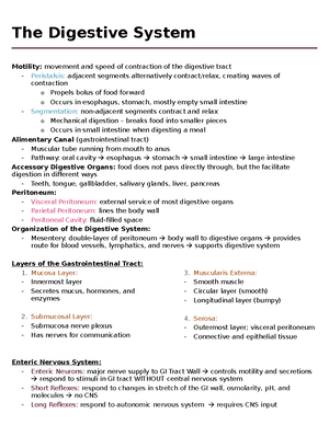 Comprehensive Digestive System Overview and Disorders Guide - Complete Guide to the Digestive ...