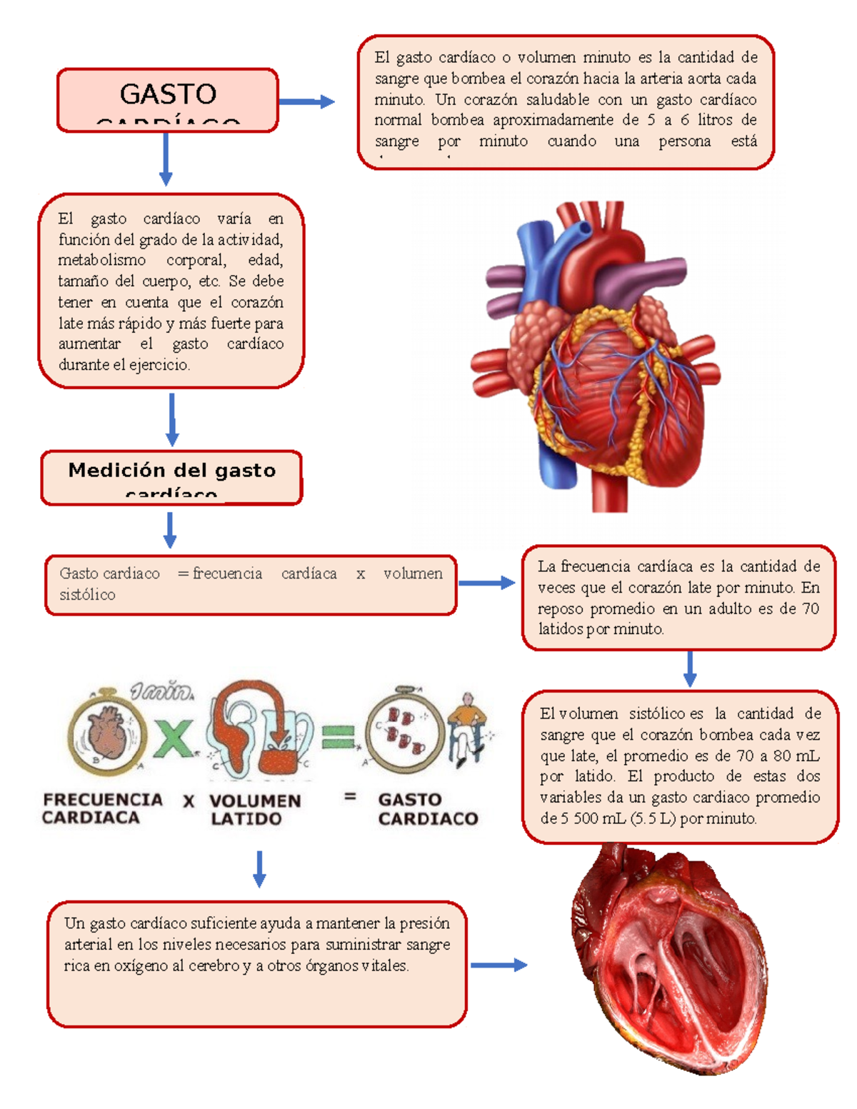 Aumentar El Gasto Cardiaco