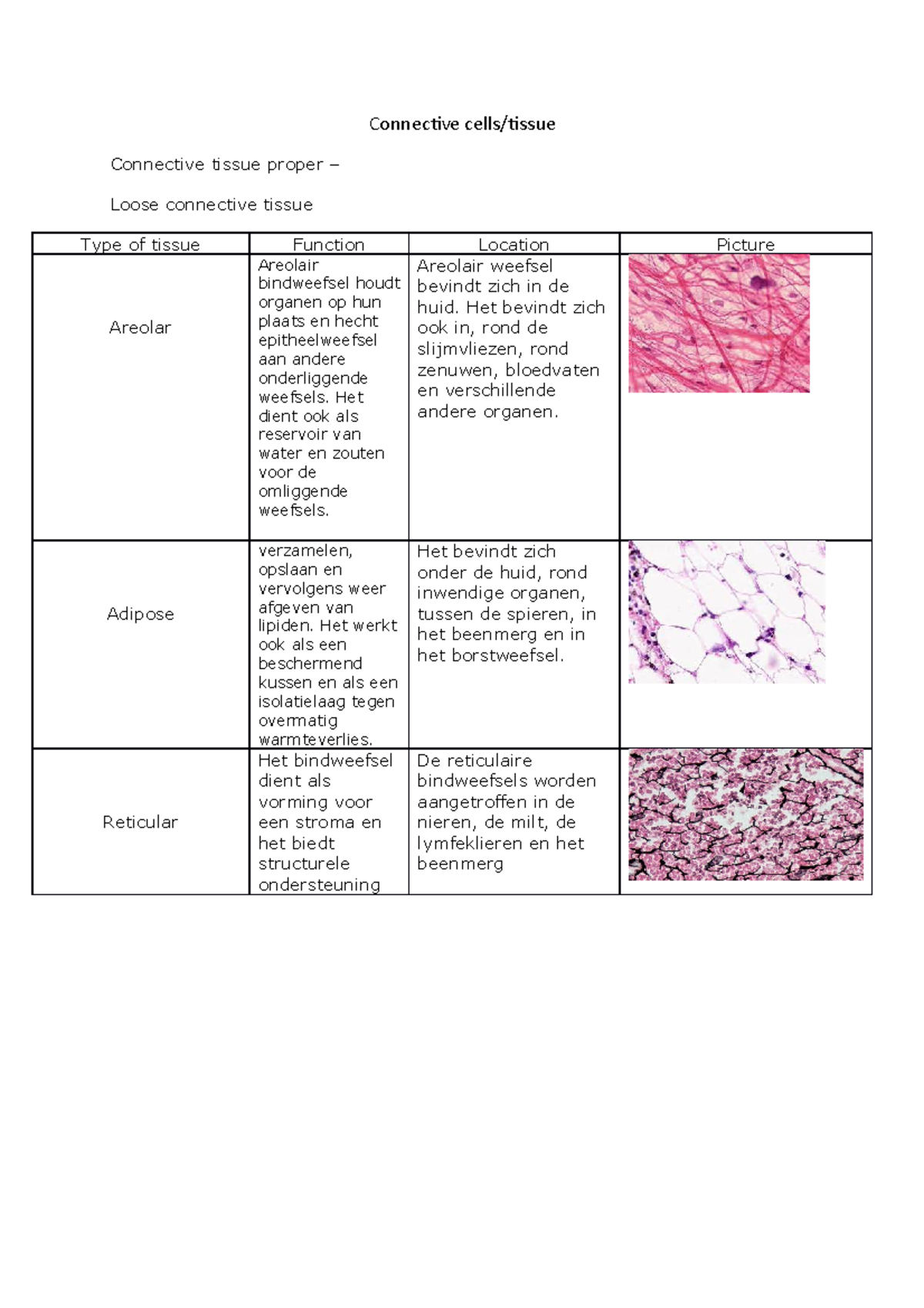 Connective Tissue Overview Worksheets: Types & Functions - Studeersnel
