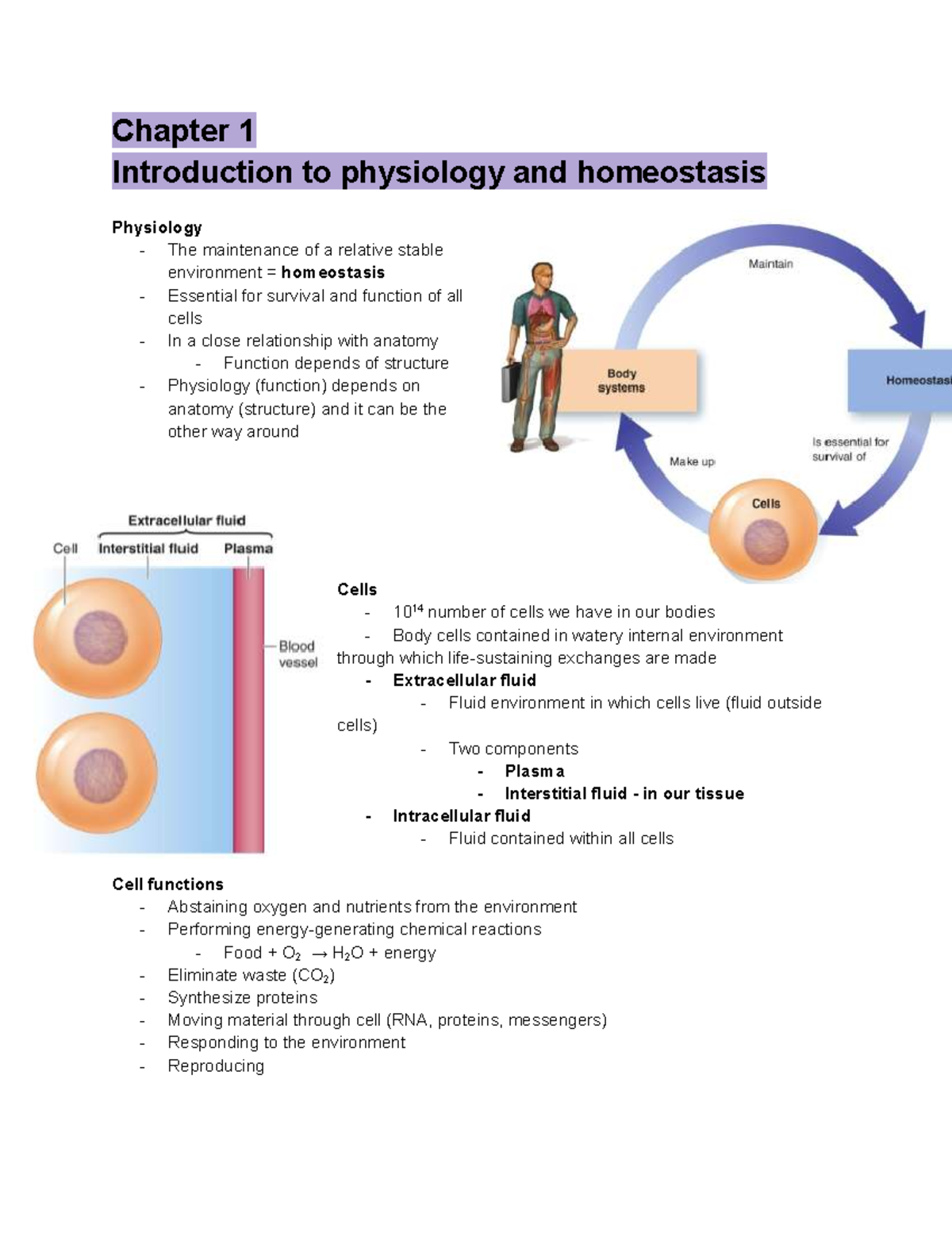 Bio 270 Lecture: Intro to Physiology & Homeostasis Notes for Exam - Studocu