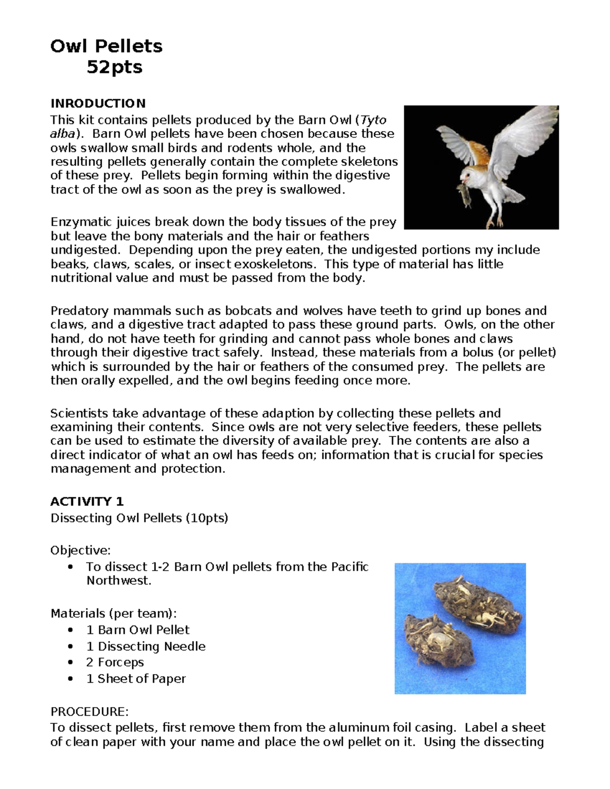 3-6 Owl Pellets Lab: Dissection & Analysis of Barn Owl Prey - Studocu