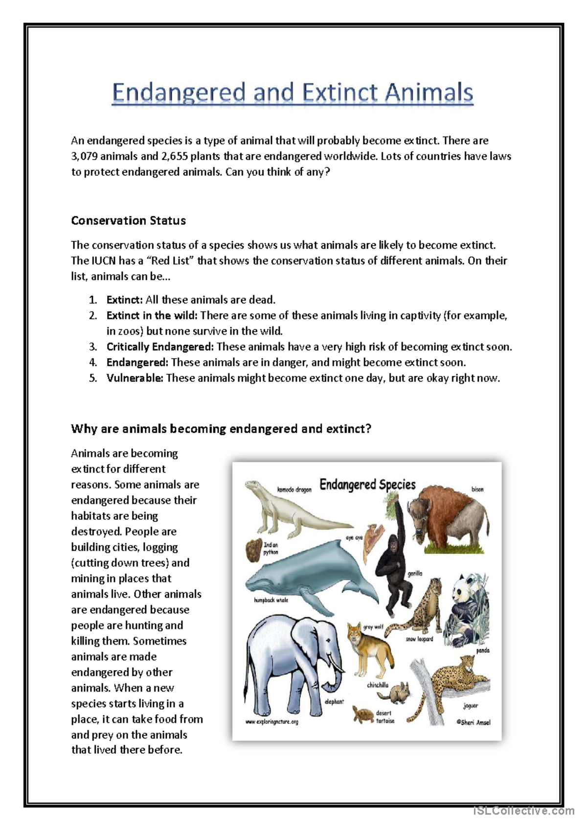 Endangered & Extinct Species Overview: Conservation Status & Threats ...