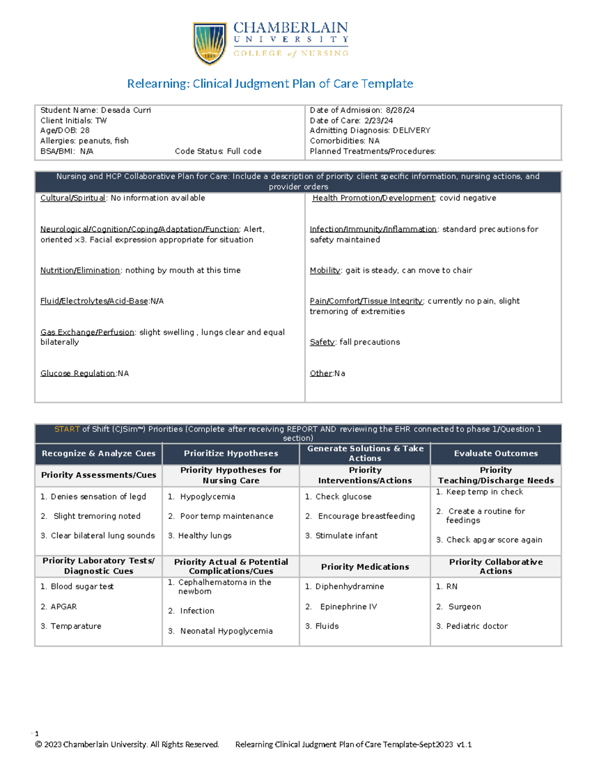 Relearning Clinical Judgment Plan of Care Template: Sept 2023 Update ...