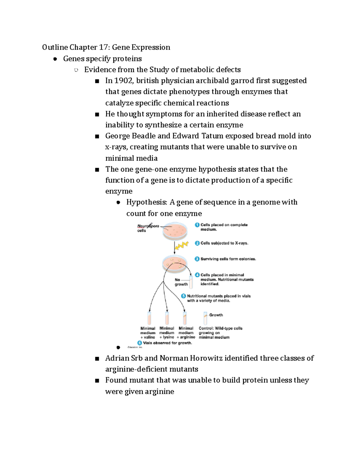 Chapter 17: Gene Expression and Protein Synthesis - Studocu