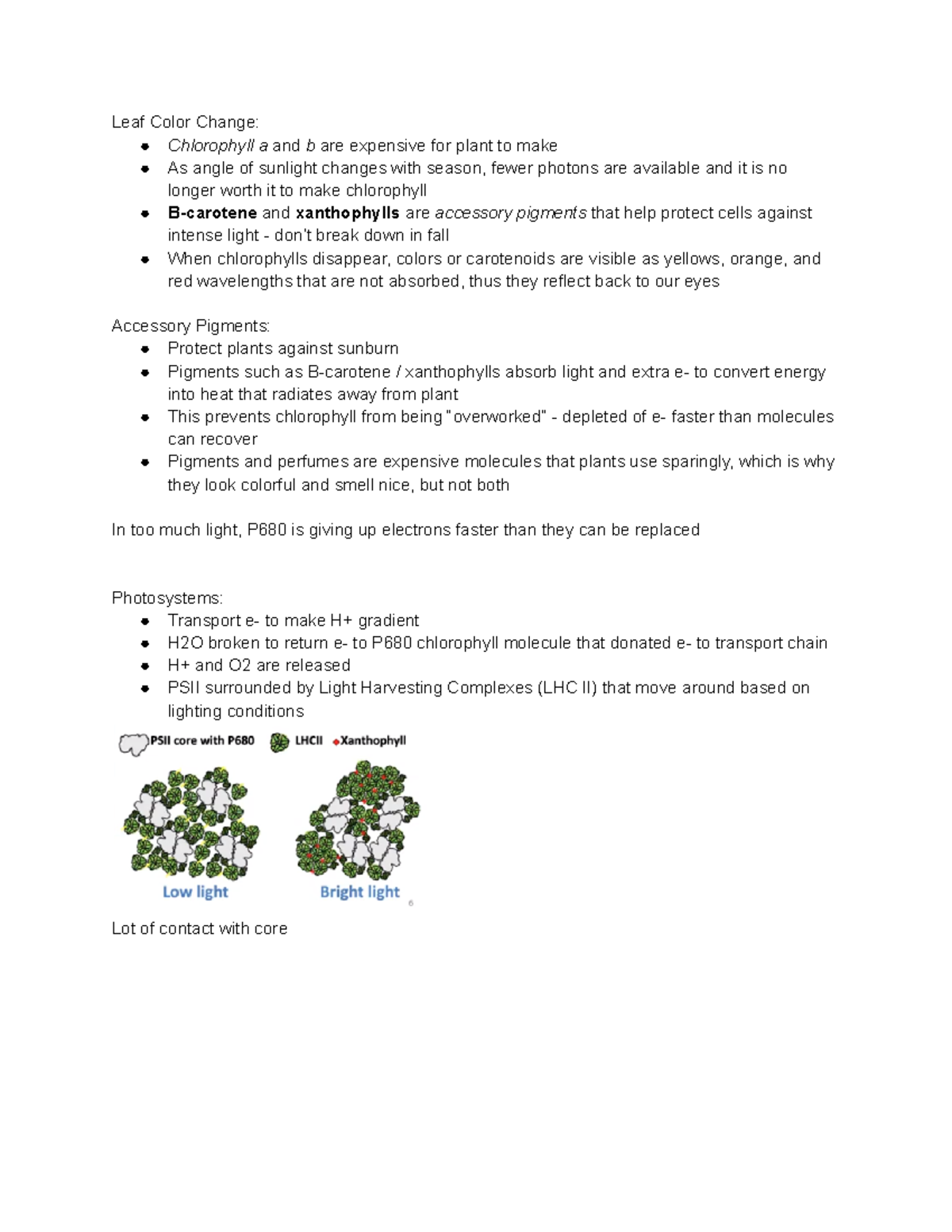 BIO101: Photosynthesis, Chlorophyll, and the Calvin Cycle Explained ...