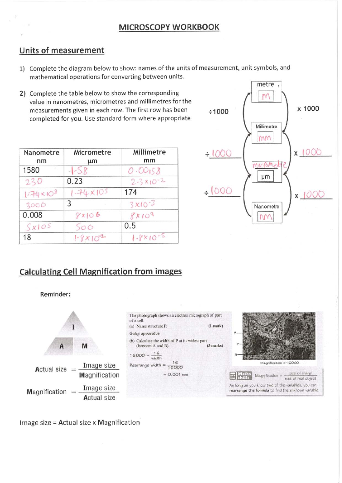 MICROSCOPY WORKBOOK (BIO101) - Units of Measurement & Magnification ...