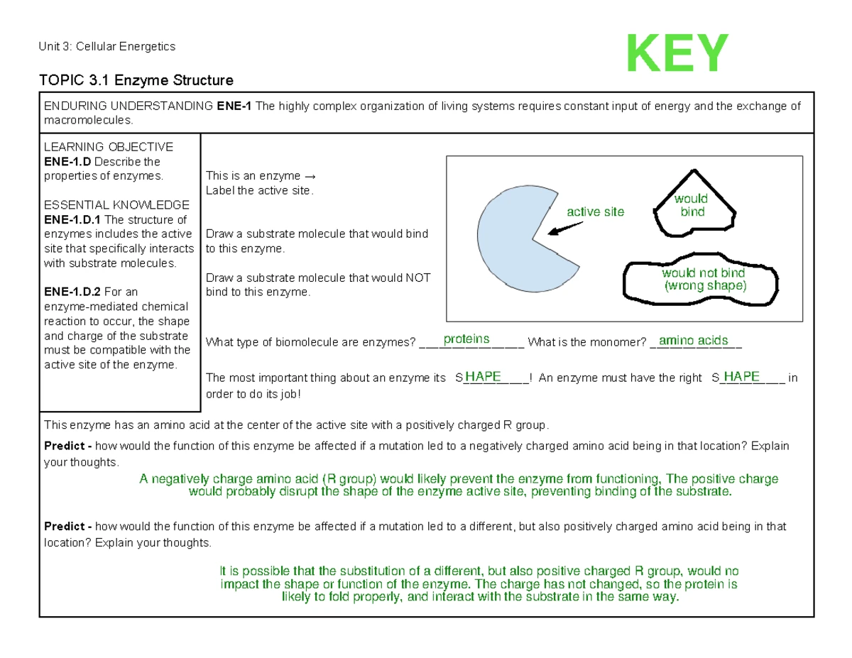 AP Biology Unit 3: Photosynthesis & Cellular Respiration Review Guide ...