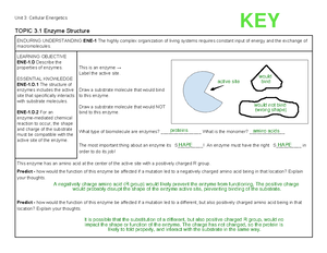 Unit 3 Review (Topics 3.1-3.3) - AP Biology Unit 3 Review 3 Enzyme ...