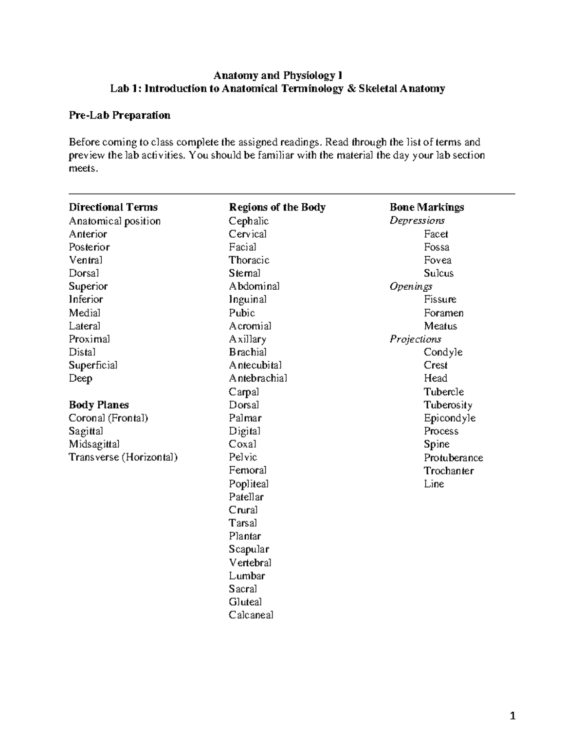 Anatomy & Physiology I Lab 1: Intro to Anatomical Terminology ...