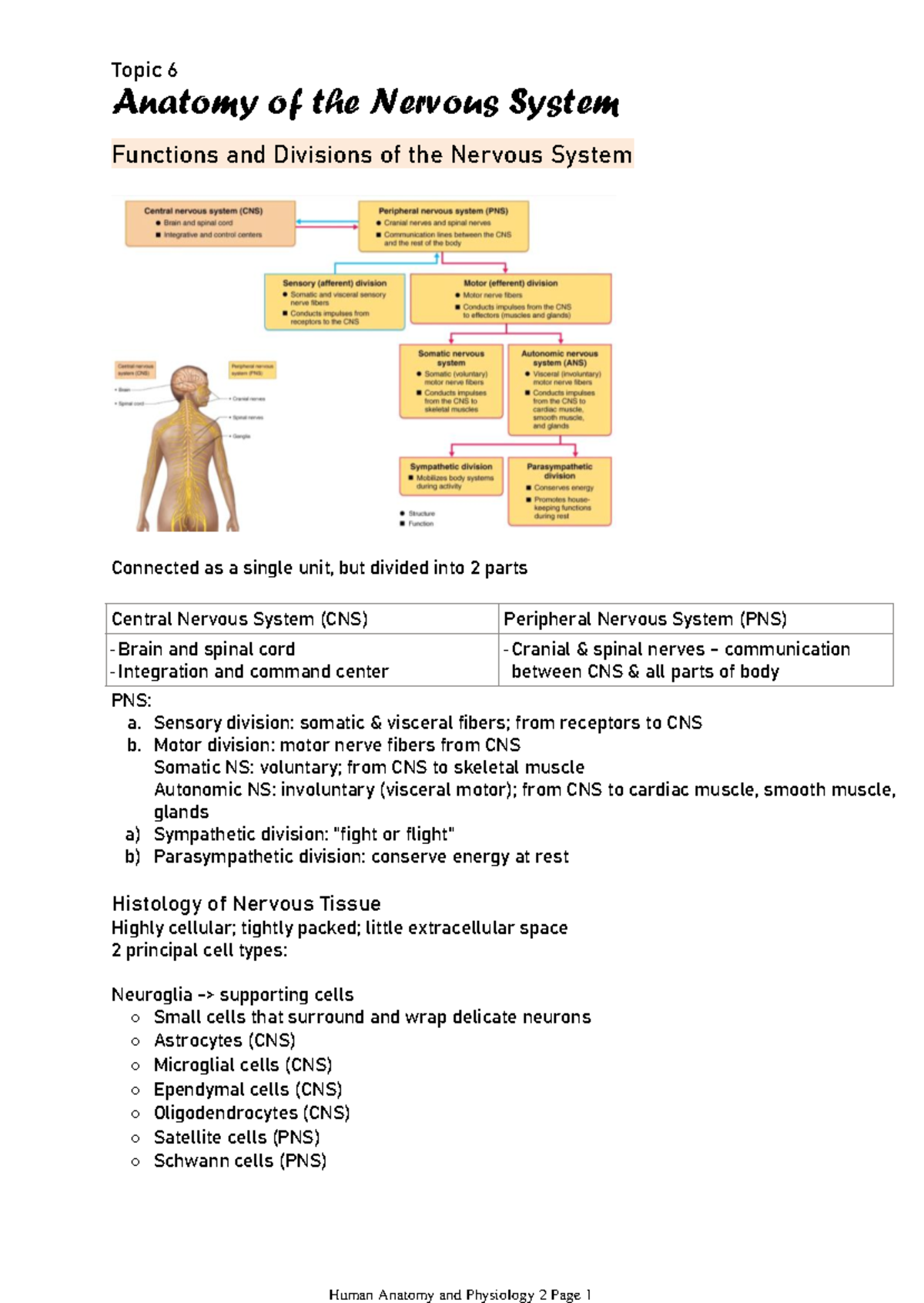 Topic 6 - Professor Savory - Topic 6 Anatomy of the Nervous System ...