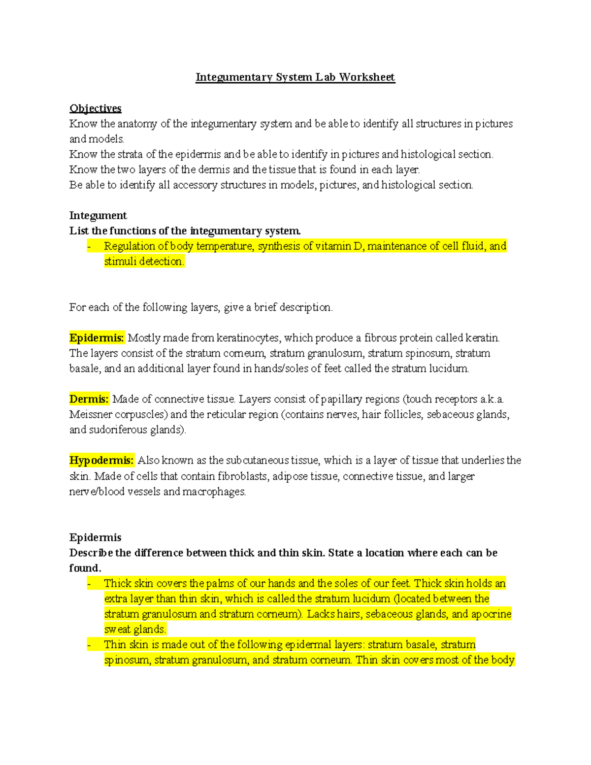 Integumentary System Lab Worksheet - Structure & Functions Overview - Studocu