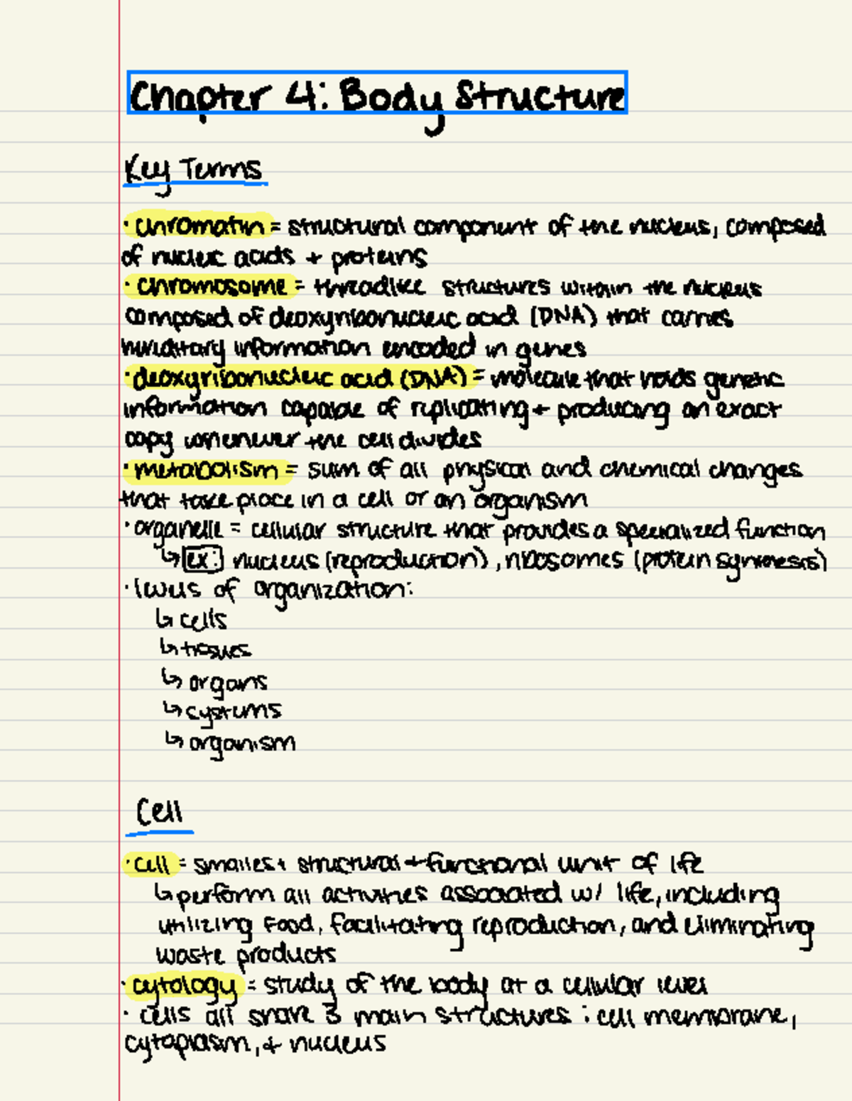 Medical Terminology: Body Structure - Chapter Overview - Studocu