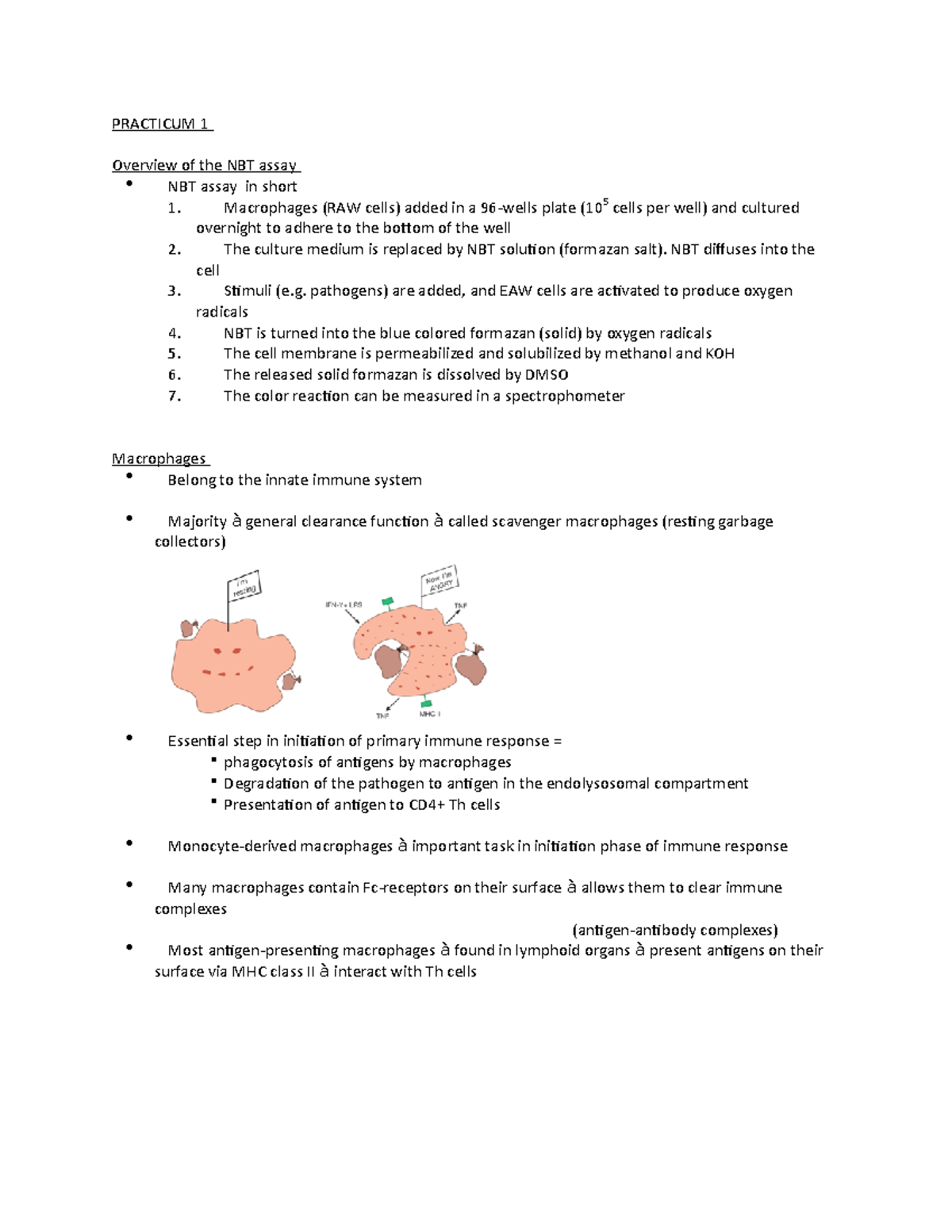 Practicum 1 - Overview and Procedures for NBT Assay in Macrophages ...