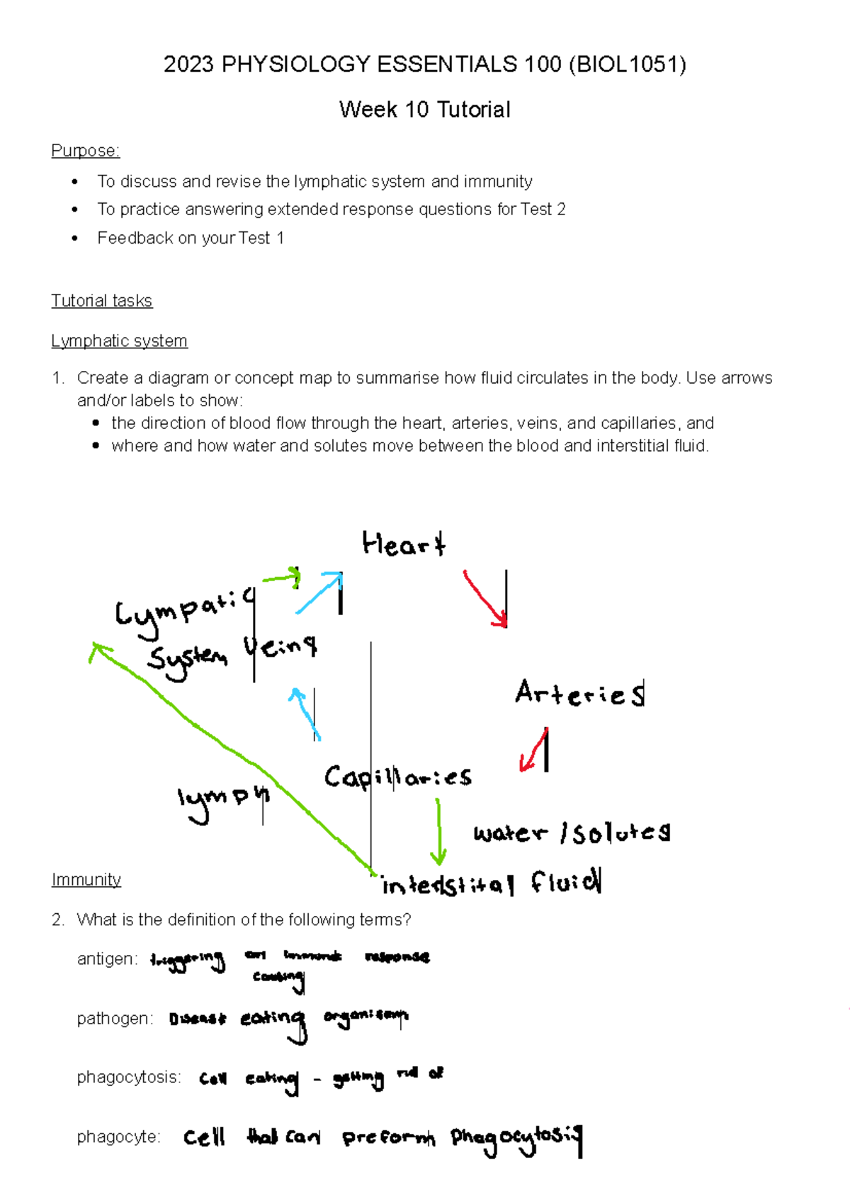 Week 10 Tutorial - Lymphatic System & Immunity for PHYSIOLOGY 100 ...