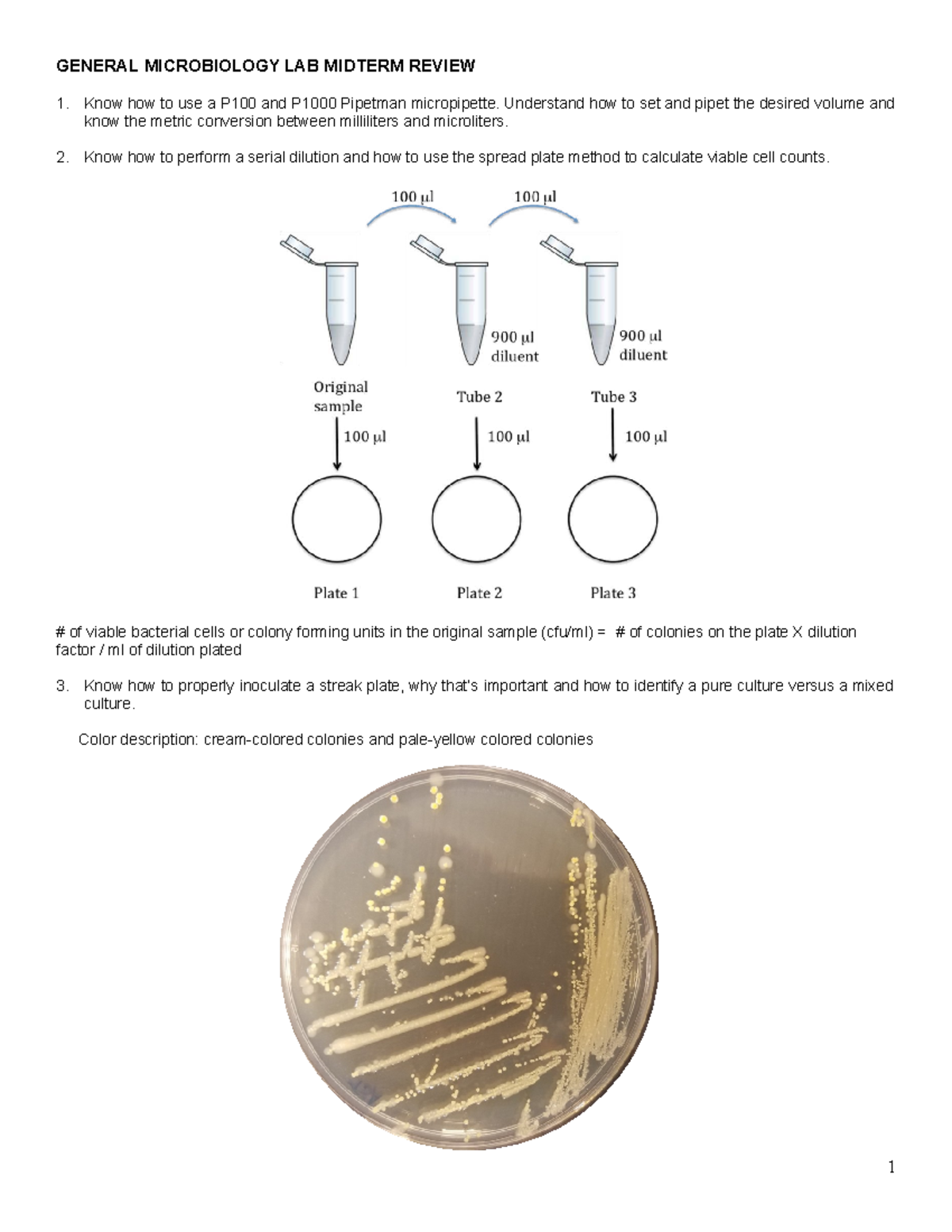 GENERAL MICROBIOLOGY LAB MIDTERM REVIEW SPRING 2025 - Studocu
