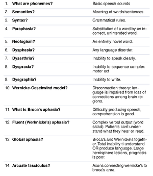 IMG 2E2918C6E7C9-1 - Different parts of the brain and their functions ...