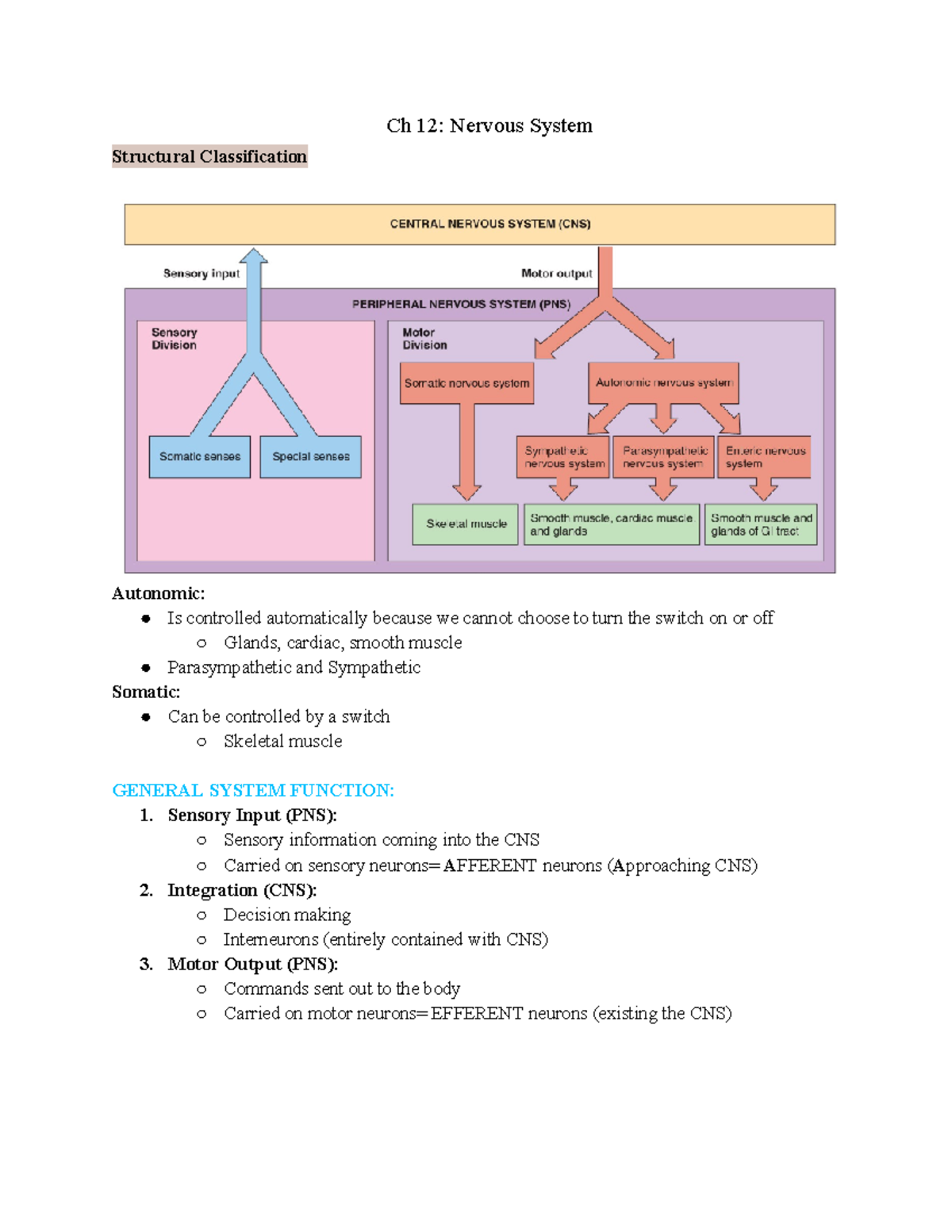 A&P 12 - Nervous System Overview and Key Concepts Notes - Studocu