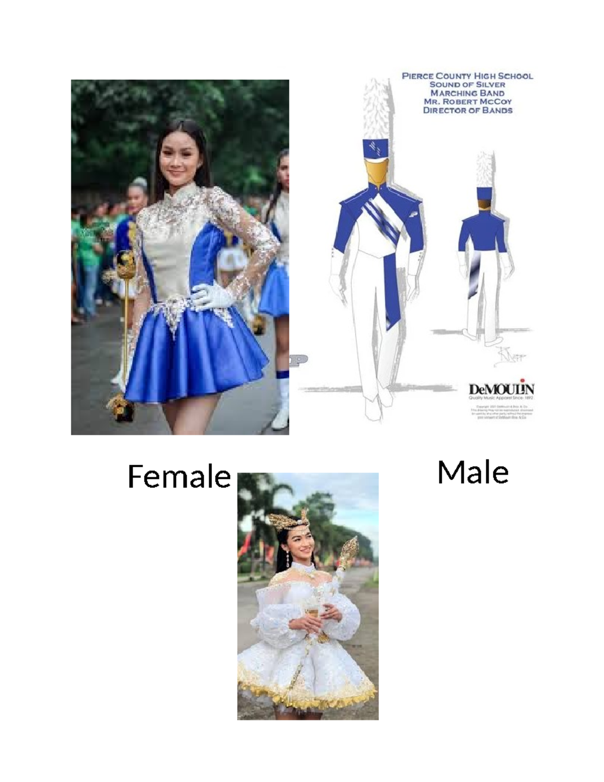 Dlc uniform' - Math social learning - PIERCE COUNTY HIGH SCHOOL SOUND ...