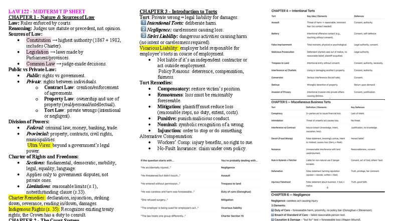 LAW 122 MIDTERM REVIEW: NATURE & SOURCES OF LAW, TORTS, COURT SYSTEM ...