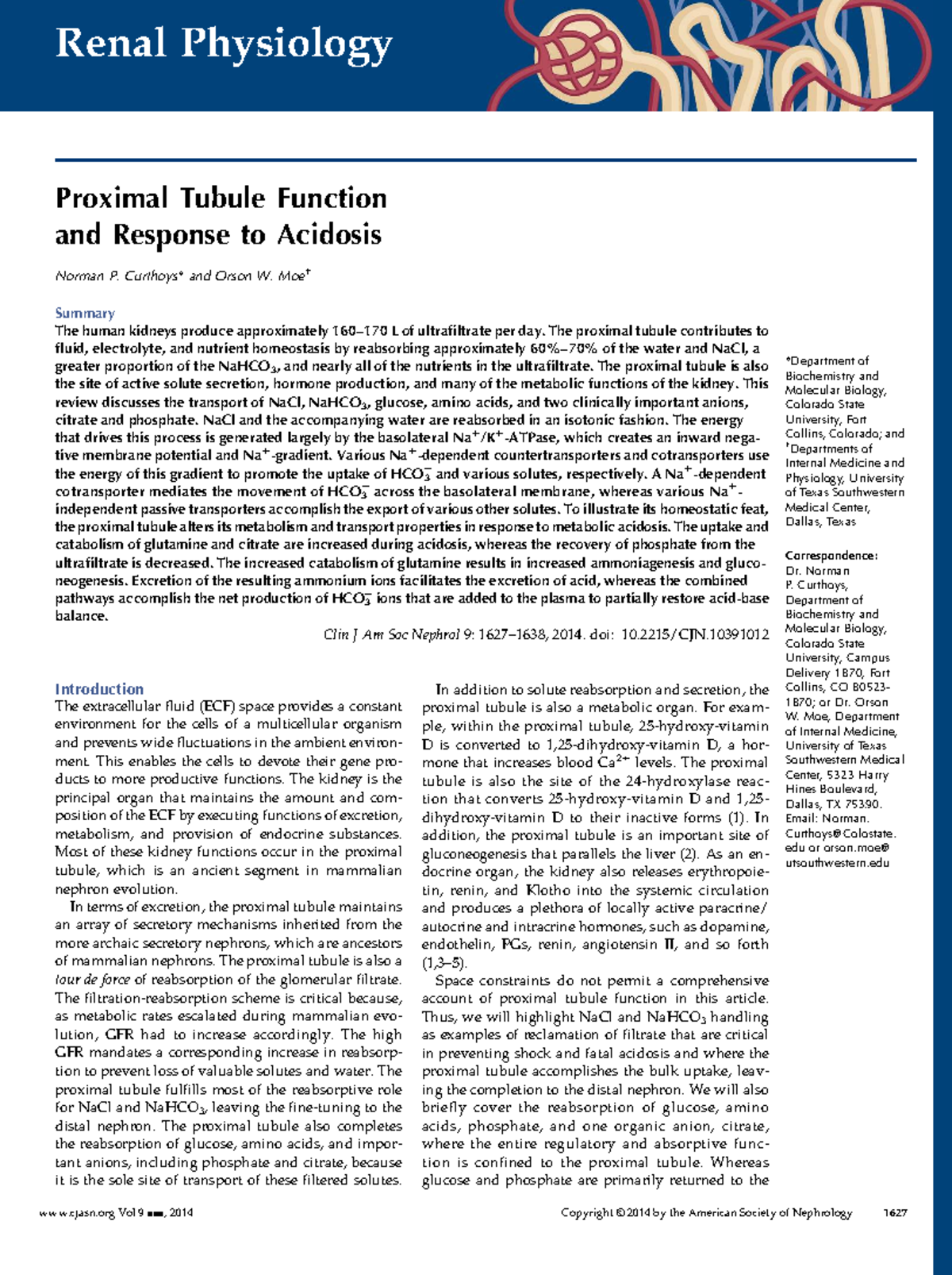 Proximal Tubule Function and Acidosis Response in Renal Physiology (BIO ...