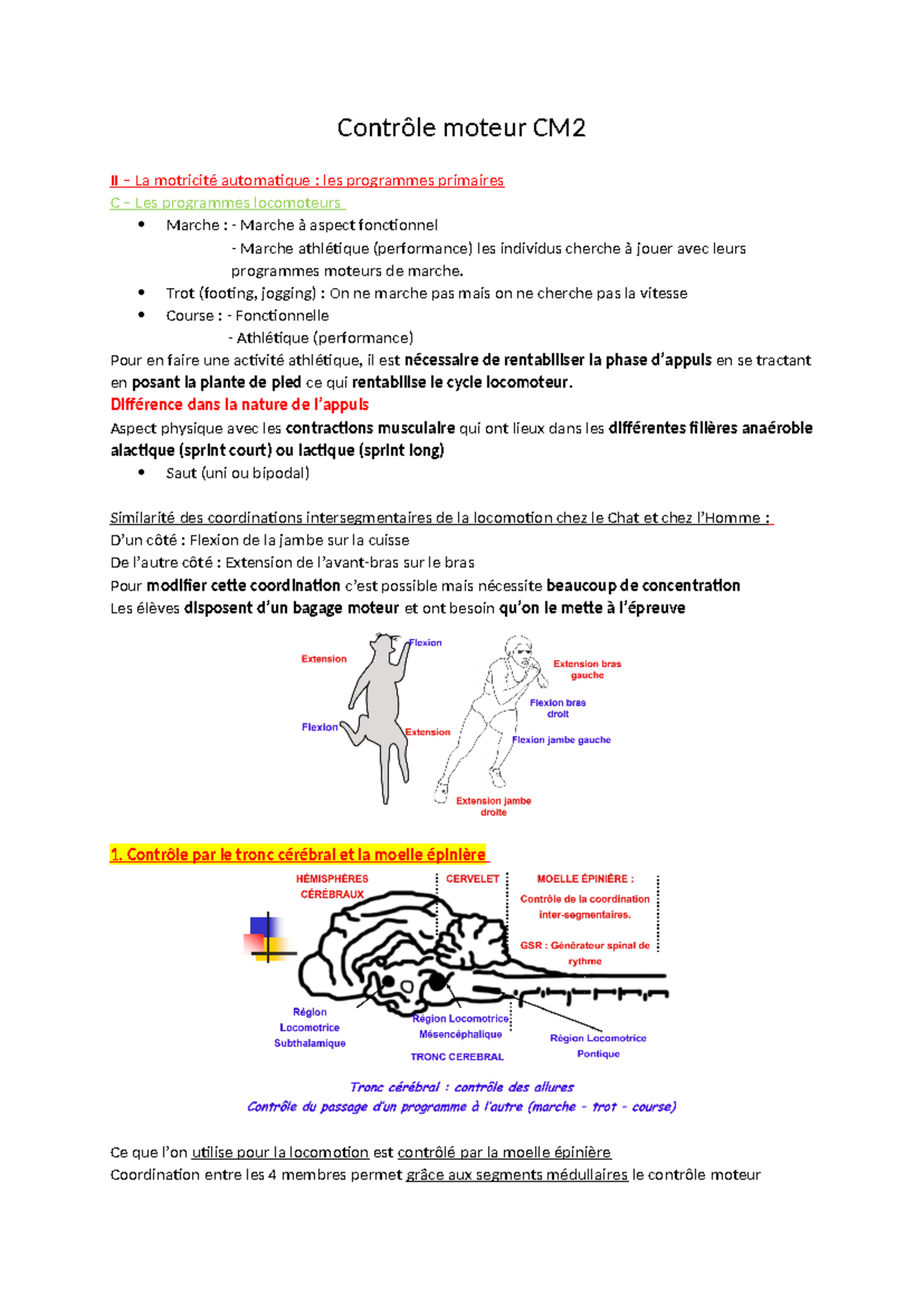 Controle Moteur CM2 - La motricité automatique : les programmes primaires Capacité à modifier ...