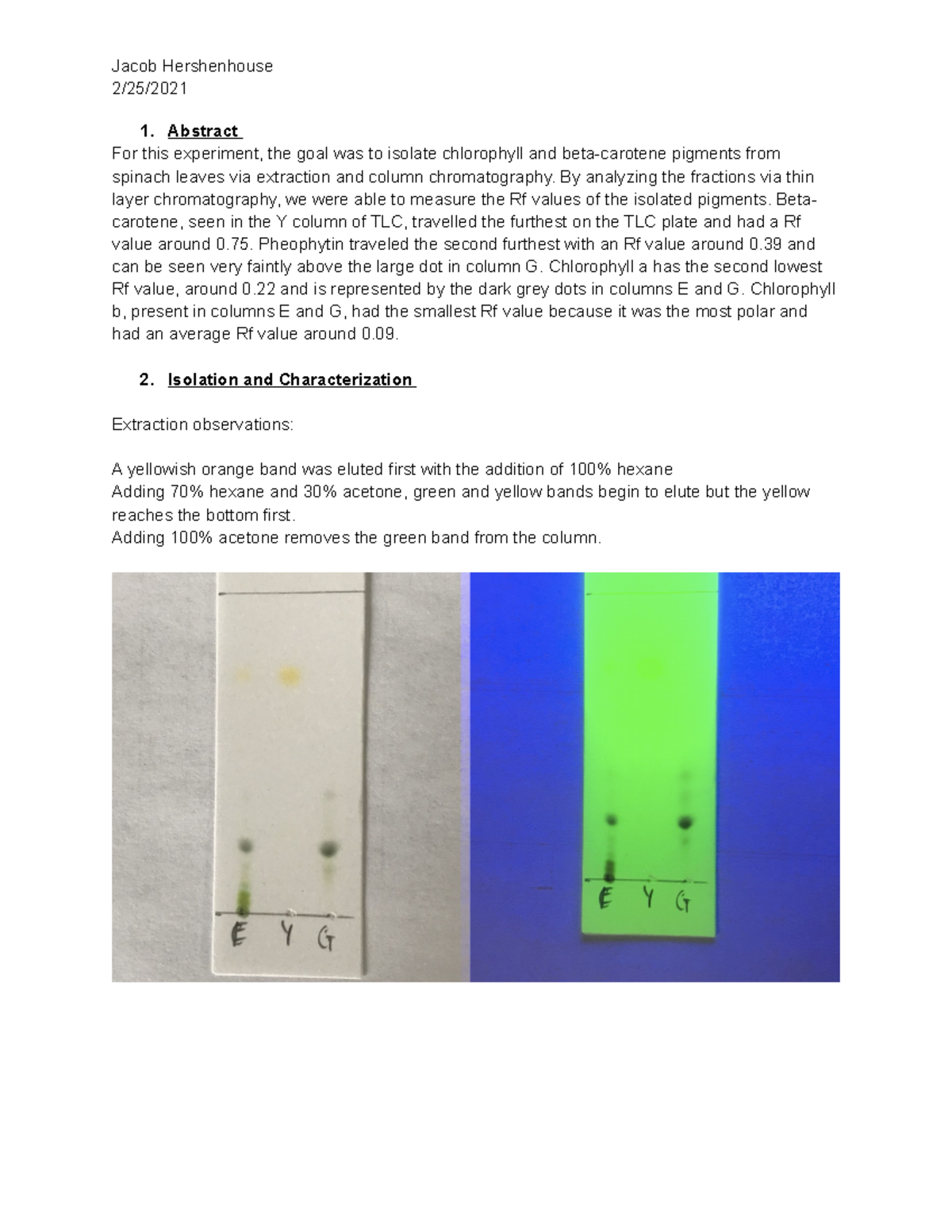 Chromatography Of Spinach Lab