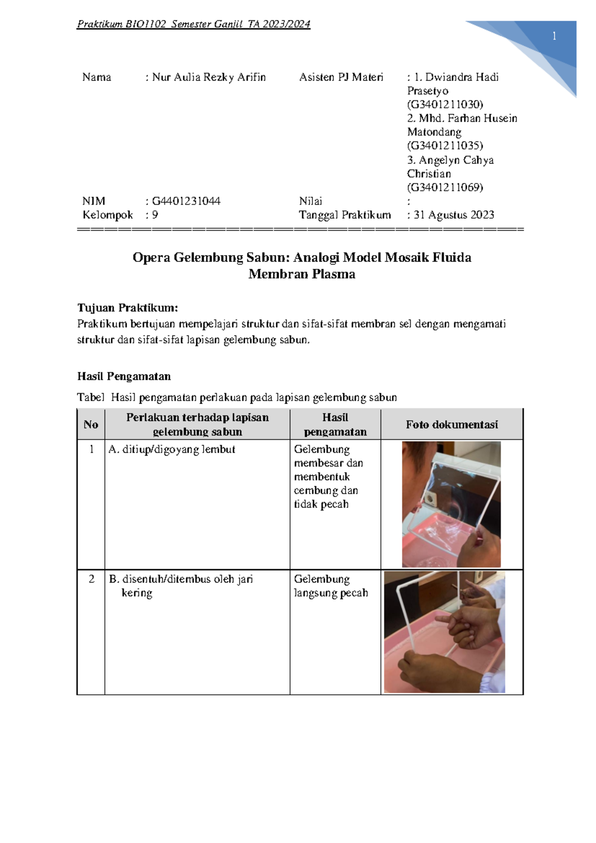 Praktikum Biologi: Analisis Membran Plasma pada Opera Gelembung Sabun ...