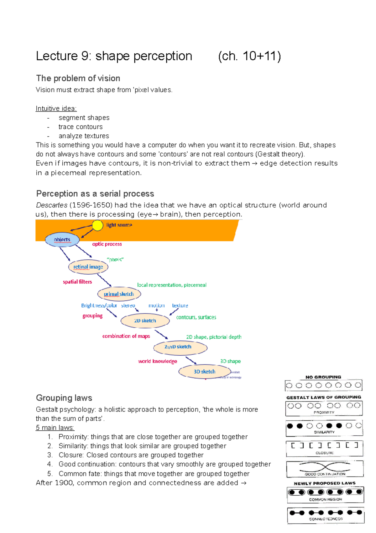Lecture 9 shape perception - Lecture 9: shape perception (ch. 10+11 ...