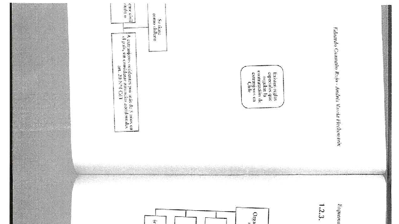 Esquema sobre Empresa, Empleador Único y Subterfugio en Derecho Laboral ...