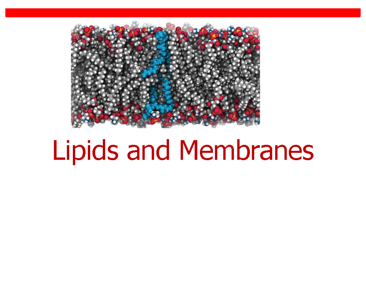 Lecture 09 - Ch 6: Understanding Lipids & Membranes in Bio - Studocu