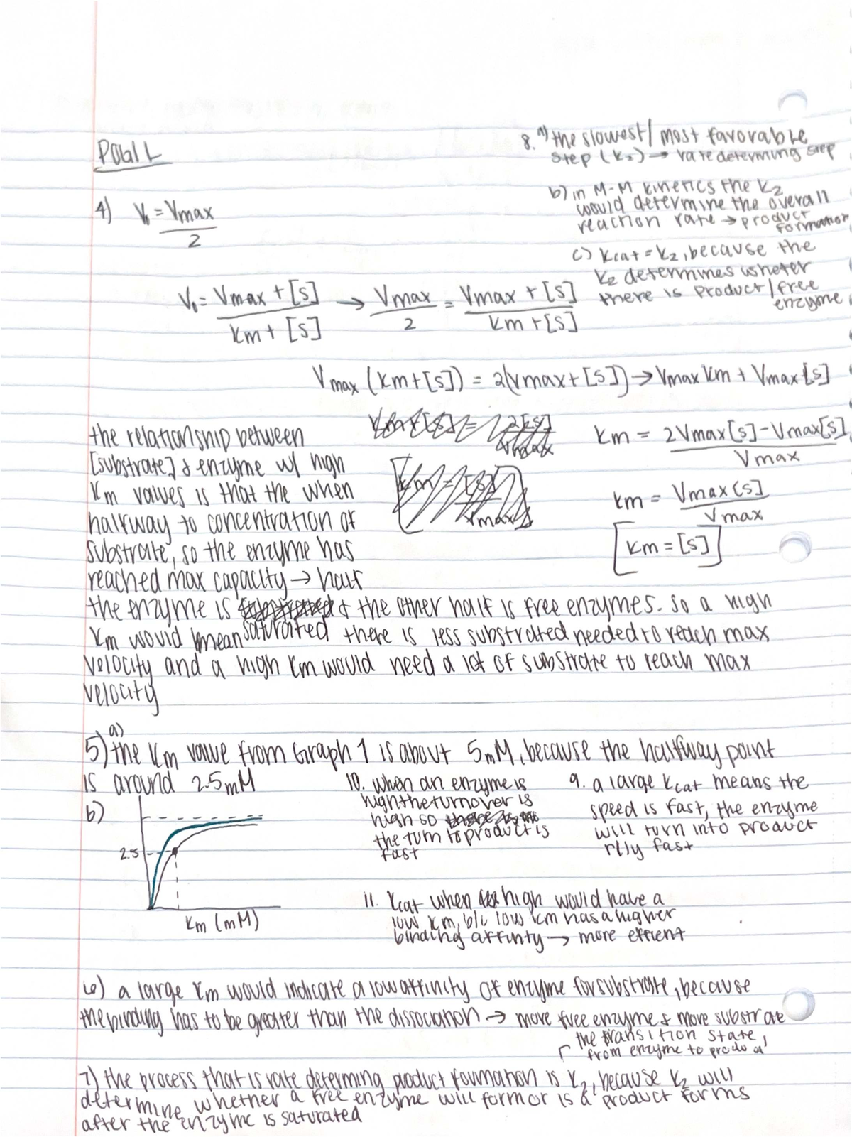 Pogil Enzyme Kinetics Analysis - Chem 3650 - Studocu
