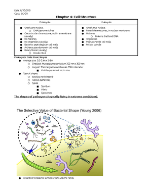 Ch.5 Viral Life Cycles and Characteristics: Structure, Types, and ...