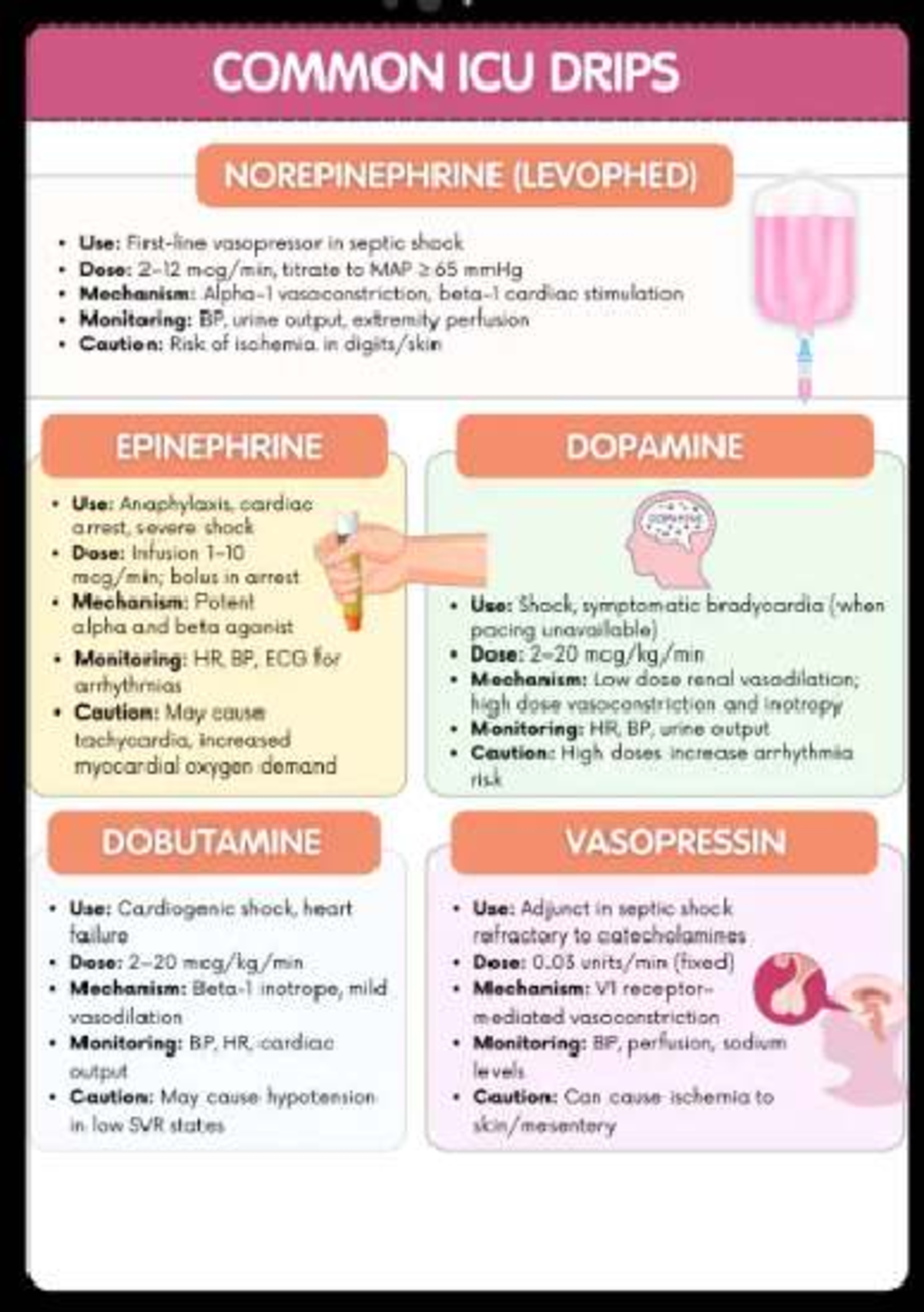 ICU Drips Overview: Vasopressors & Monitoring (BIAF 2465) - Studocu